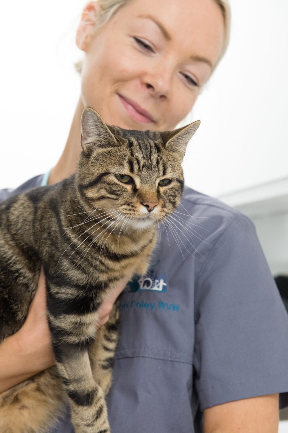 The London Cat Clinic – Gort Scott