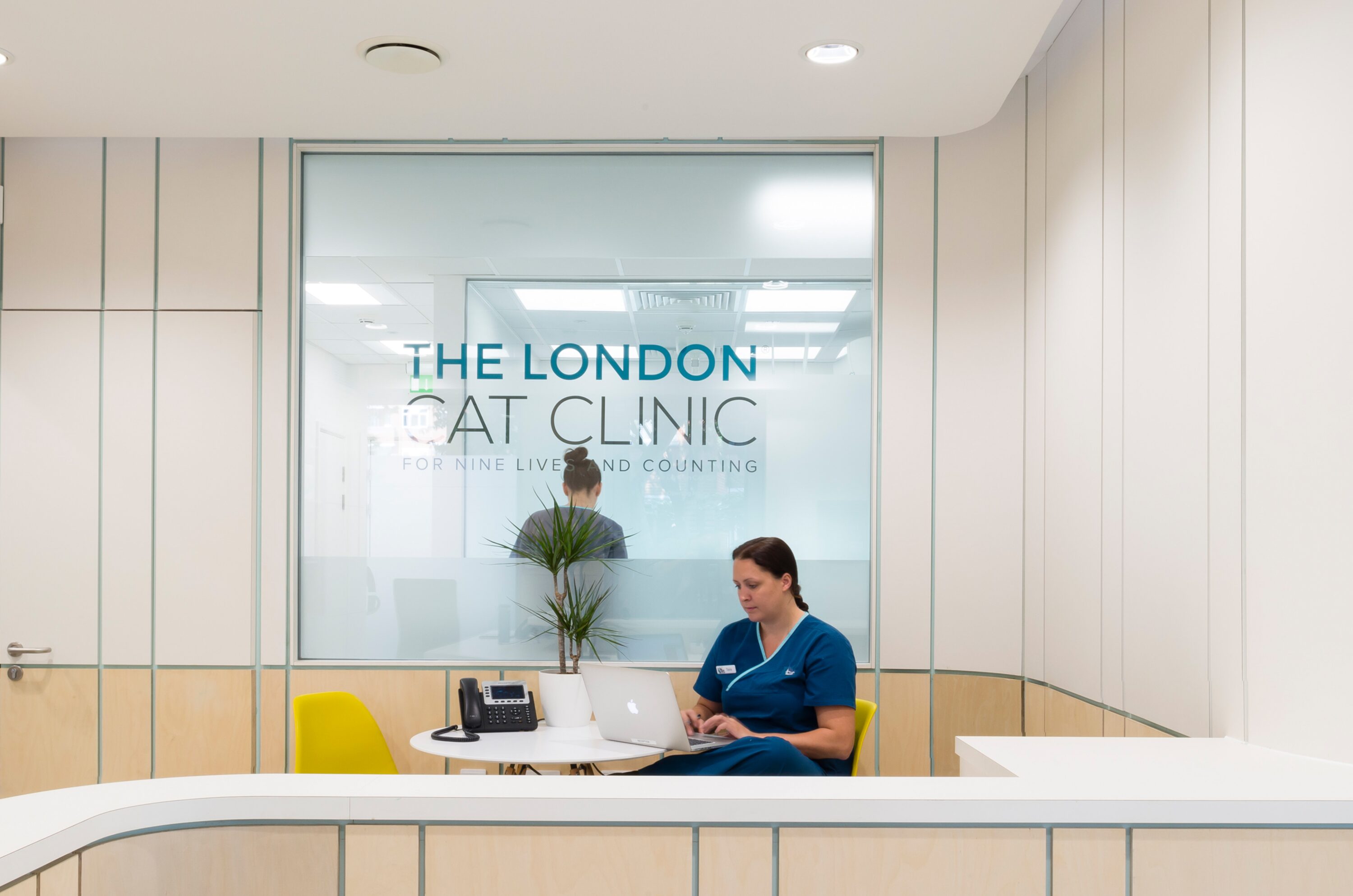 The London Cat Clinic – Gort Scott